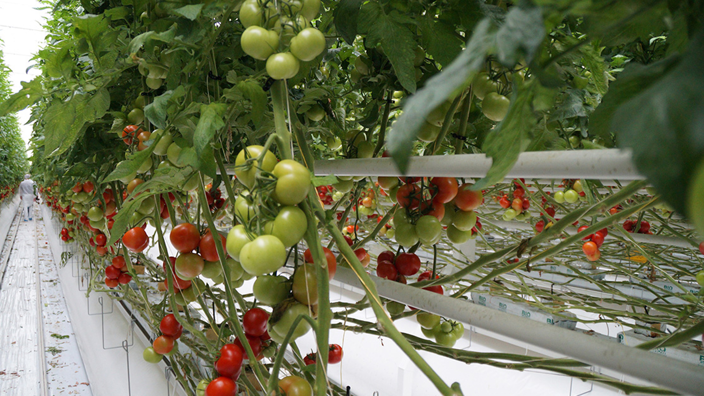 Patron Agri Systems | Sustainable irrigation & control systems